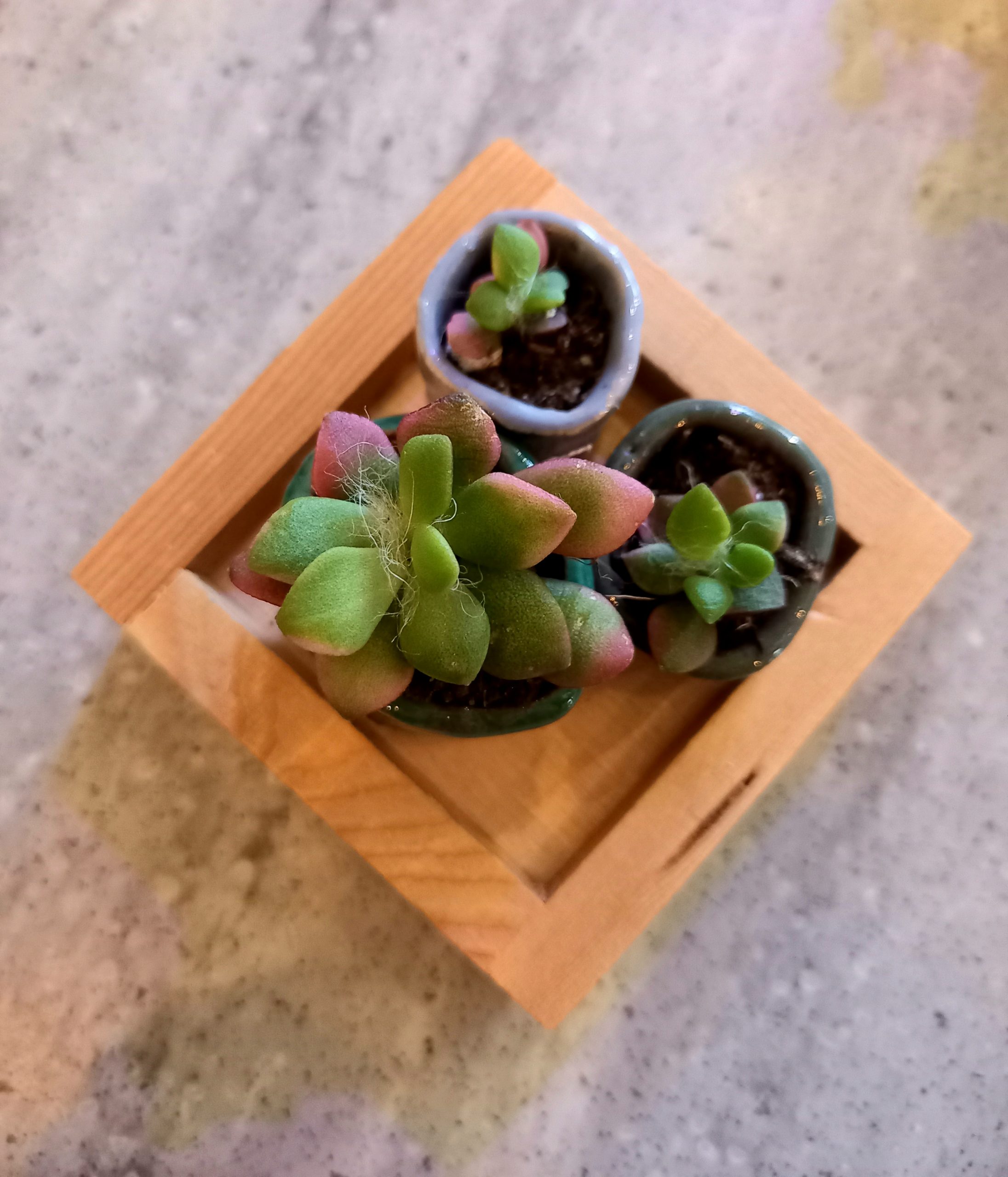 Prebble Wooden square tray 8cm square - small and green