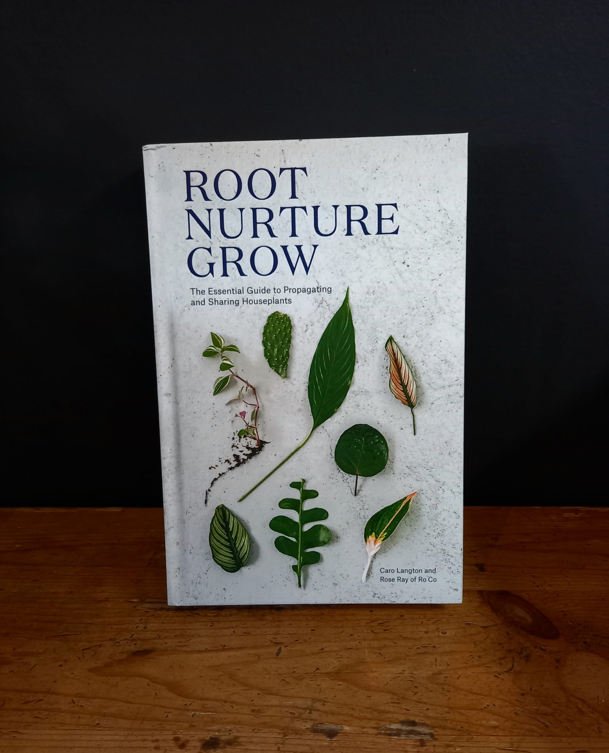 Root Nurture Grow by Caro Langton & Rose Ray of Ro Co - small and green