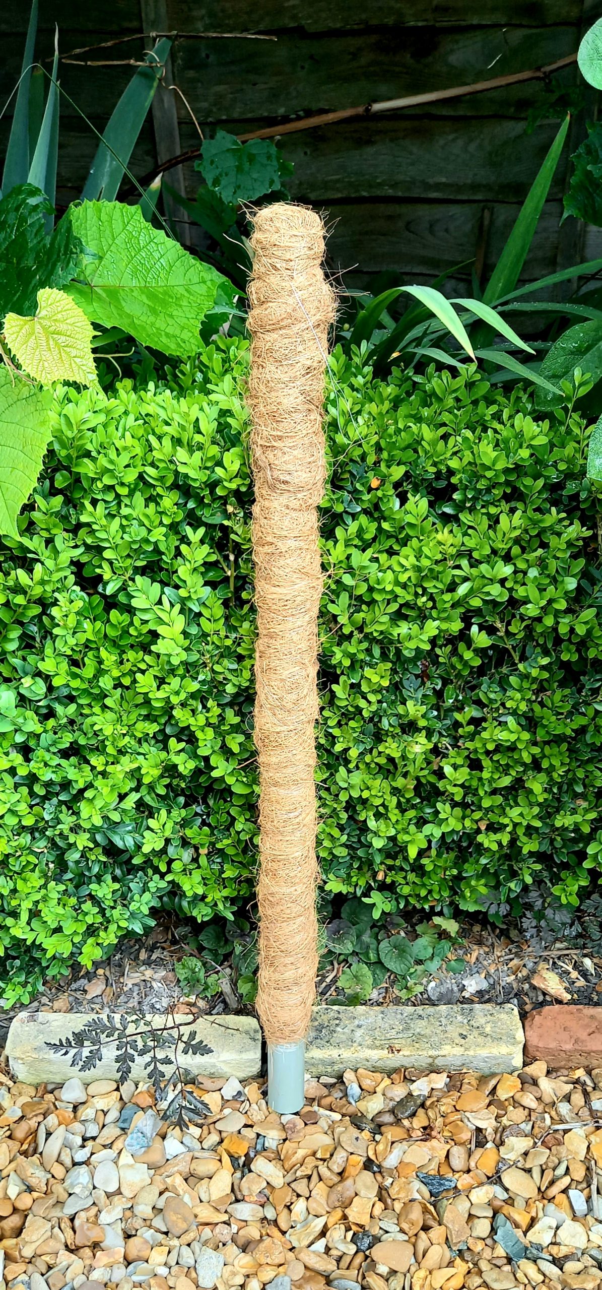 Coir moss pole 3 lengths - small and green