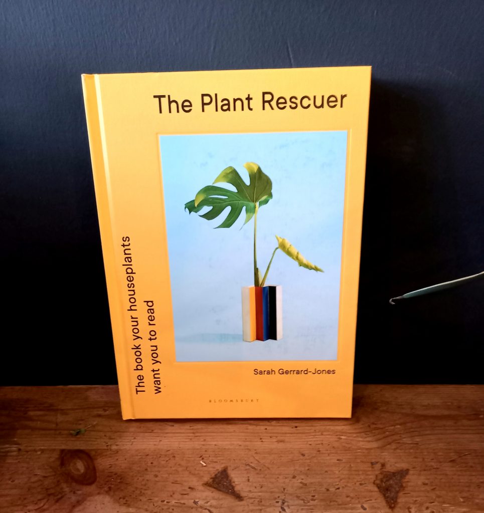 Plant Rescuer by Sarah Gerrard-Jones - small and green