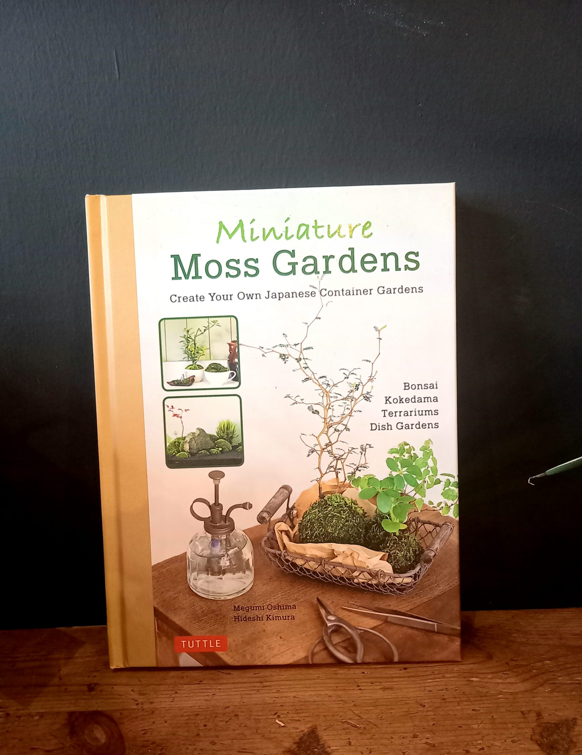 Miniature Moss Gardens - small and green