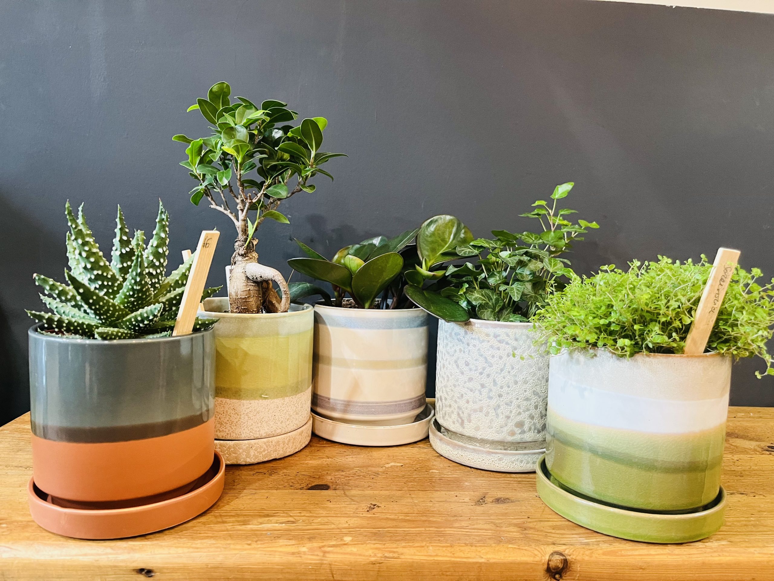 Minute pots large size - small and green